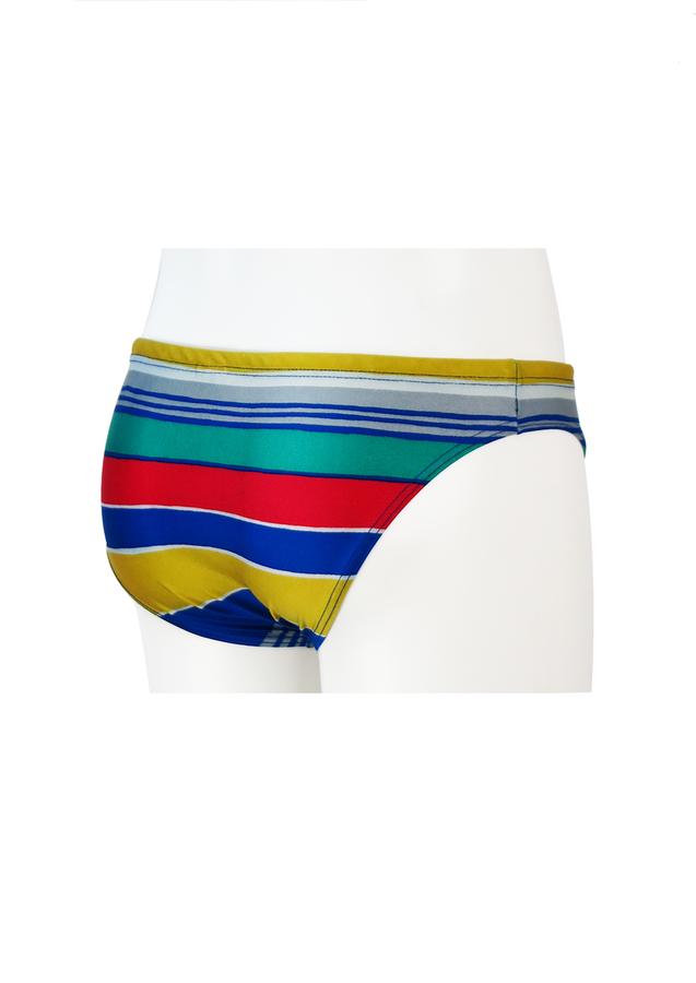 Swim Briefs with Yellow, Blue, Red, Green & Grey Striped Pattern - M ...
